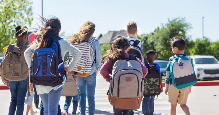The Reasons Why School Trips Are Essential In Education